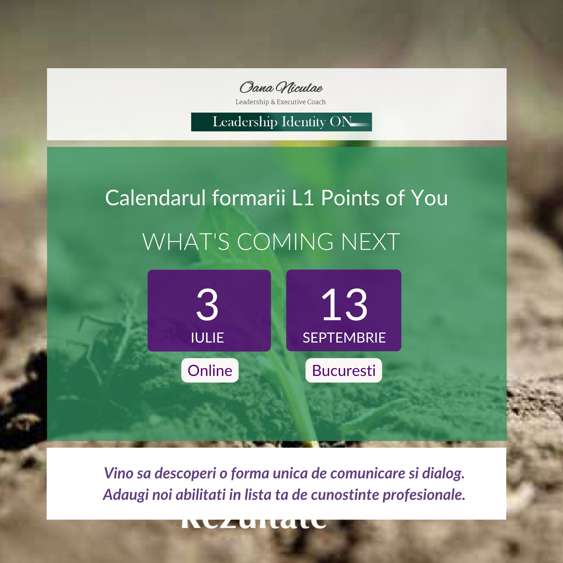 Formarea in metoda Points of You – Oana Niculae